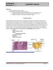 Lab Manual Ex Lymphatic System Doc Laboratory Exercise Lymphatic System Objectives