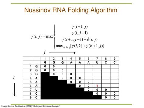 Ppt Rna Folding And Ncrna Discovery Powerpoint Presentation Free Download Id6210539