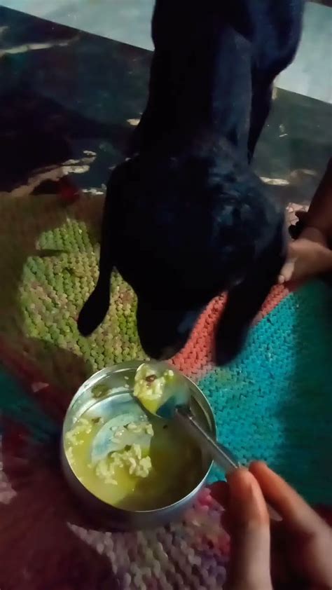 मुझे छोड़कर मत जाना बाबू Youtube