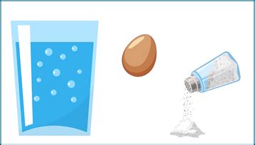 Floating Egg Science Experiment K5 Learning