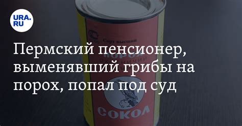 Пенсионер получил условный срок за незаконное хранение пороха
