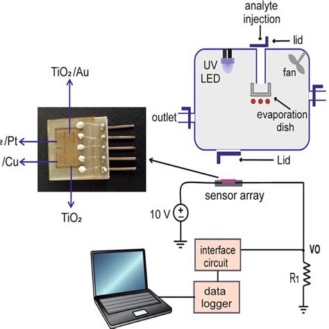 Schematic Diagram Of The Uv‐activated Room Temperature Gas Sensing