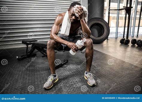 Shirtless Man Wiping Sweat With Towel Stock Image Image Of Equipment