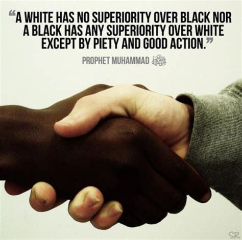 Quran Quotes About Equality Aden