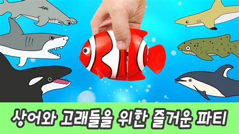 한국어ㅣ상어와 고래들을 위한 즐거운 파티 어린이 상어만화 고래와 상어 이름 외우기 컬렉타ㅣ꼬꼬스토이 Youtube