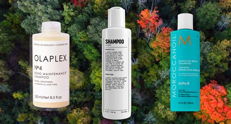 The Best Shampoos For Breakage Orlando Magazine