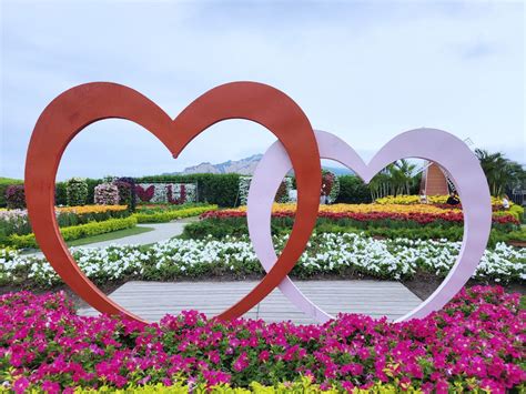 台中后里｜中社觀光花市｜一年四季都可以賞花．婚紗攝影觀光賞花勝地 茵芸旅食中