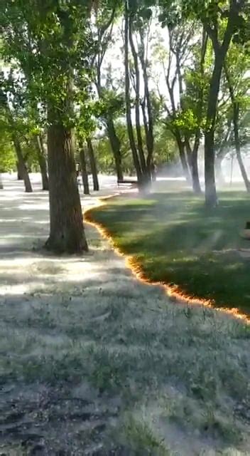 Pollen Burning Is Satisfying To Watch R Oddlysatisfying