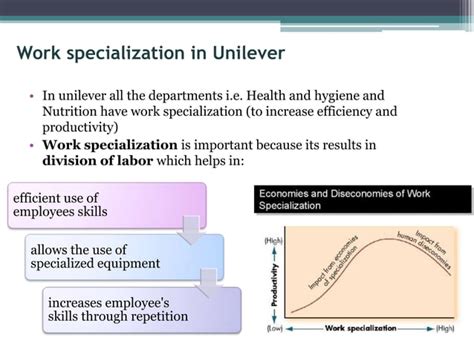 Organisational Structure And Elements Of Infosys Hul And Maruti Suzuki