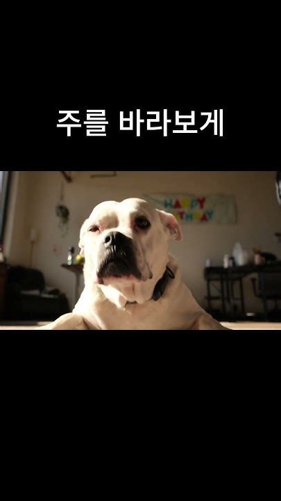 절망가운데주를바라보다소망은 위로부터 옵니다무너진 마음 위에 말씀처럼 빛이 비추기를어둠 속에서도 주님을 봅니다끝이 아니라 하나님을 바라볼 시간shorts