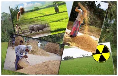 සොබාදහම් ගොවිතැන November 2012