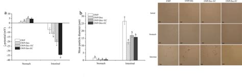 ζ Potential A Mean Particle Size B And Optical Microscopy Images
