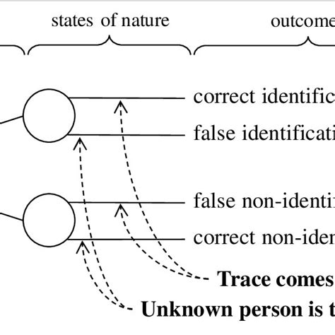 Decision Tree For A Simplified Forensic Identification Problem The Download Scientific Diagram