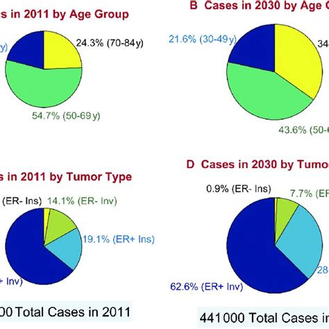 Distribution Of Breast Cancer Burden In The United States By Age Group