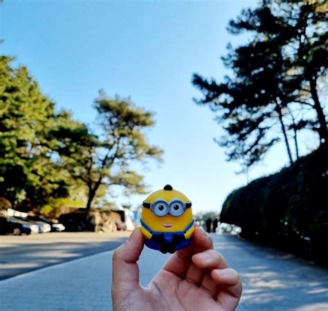 오토랑 열차타고 바다구경 볼수록 매력있는 볼매 삐죽거리는 머리숱 너무 귀여워 콜리 Colley