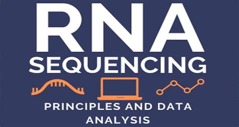 Introduction To RNA Sequencing For Beginner Researchers RNA Seq Blog