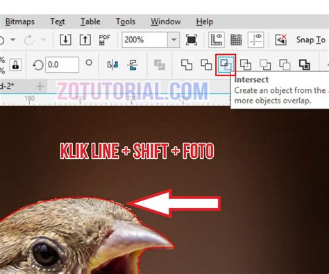 Tutorial Menyeleksi Dan Crop Gambar Dengan Pen Tool Di Coreldraw 2020