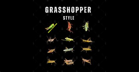 Grasshopper Style Grasshopper Lover Sticker Teepublic