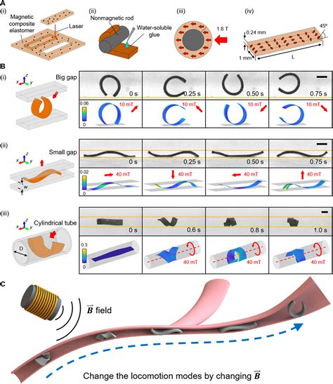 Soft Bodied Adaptive Multimodal Locomotion Strategies In Fluid Filled Confined Spaces Science