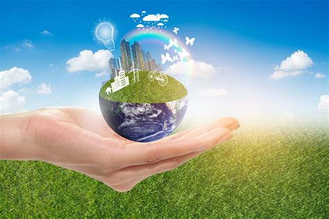 The Lis Response To The Environmental Outcomes Report Consultation