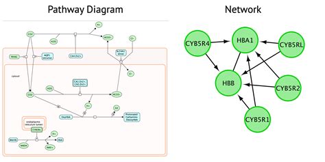 Module 4 Lab Reactomefi Pathway And Network Analysis Of Omics Data June 2023