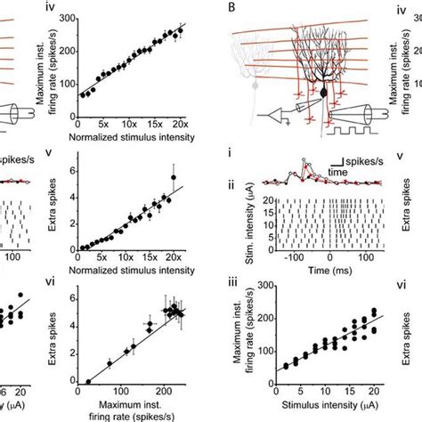 In The Presence Of Feedforward Inhibition The Maximum Firing Rate Of A
