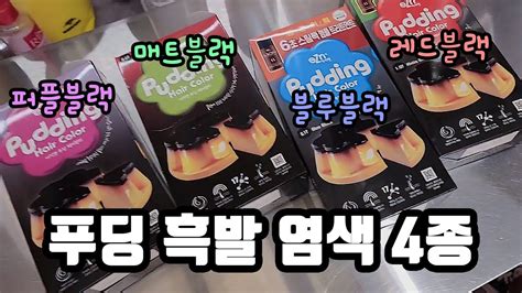 푸딩 헤어컬러 흑발 종 모두 다 써봤습니다💜퍼플블랙💙블루블랙 ️레드블랙💚매트블랙 총집합 Youtube