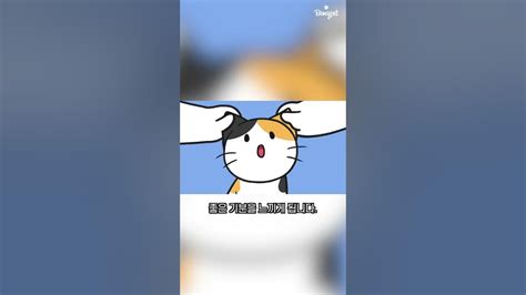 고양이가 좋아하는 스킨십 3가지 Youtube