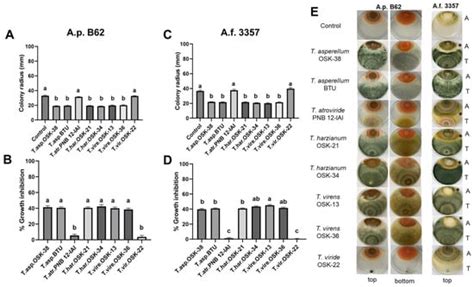 Toxins Free Full Text Three Ecological Models To Evaluate The