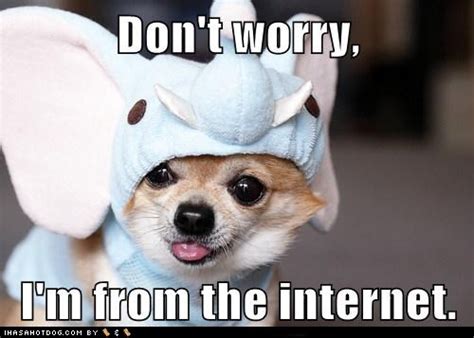 Image 295265 Dont Worry Im From The Internet Know Your Meme