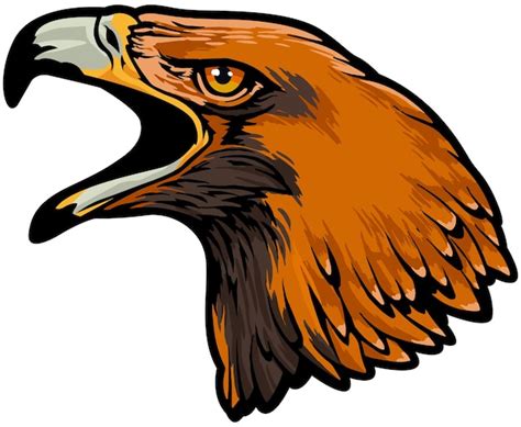 Premium Vector Eagle Face Illustration Vector Sky
