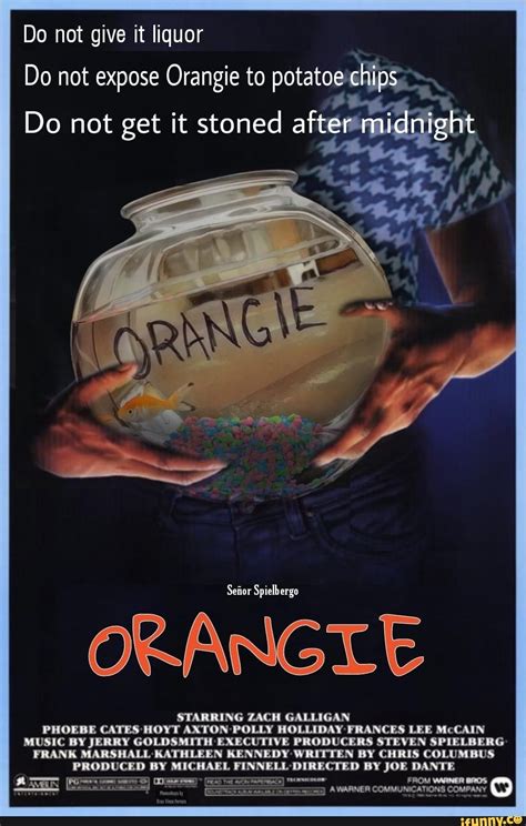 Do Not Give It Liquor Do Not Expose Orangie To Potato Chips Do Not Get