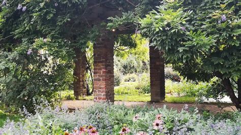 Les Meilleures Plantes Pour Un Jardin Ombragé Guide Complet L