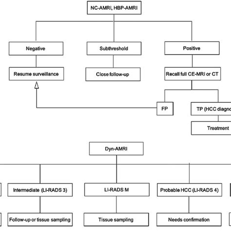 diagnostic algorithms for amri in the context of hcc screening and