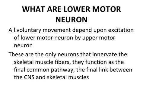 Upper And Lower Motor Neuron Lesions Pptx Free Download