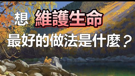 《4真心看生死，歡喜來生》真心看生死想維護生命 最好的做法是什麼與淨土結下一個淨緣【經典說什麼】 Youtube