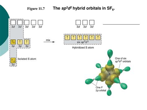 Ppt Molecular Structure Powerpoint Presentation Free Download Id