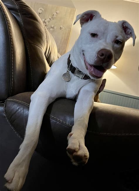 My Girl Britta With Her Beautiful Smile Frickin Cute Rfrickin