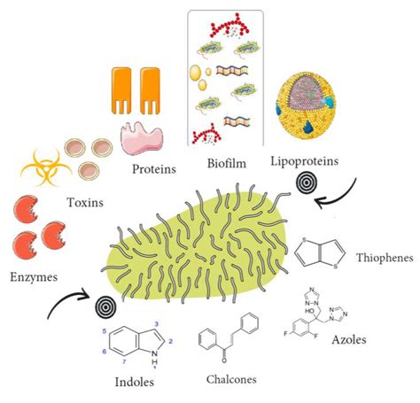 Antibiotics Free Full Text Synthetic And Semisynthetic Compounds As