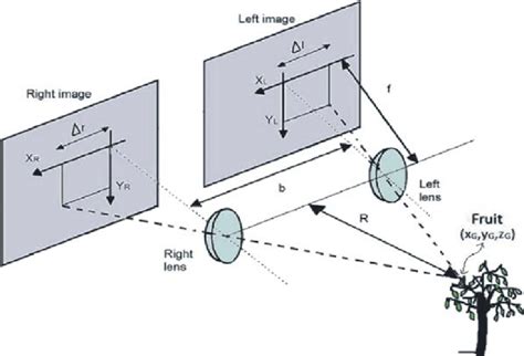 schematic of stereo image processing geometry download scientific diagram