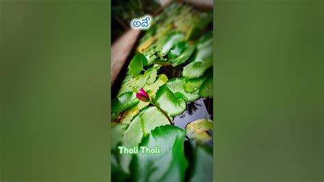 Tholi Tholi Youtube