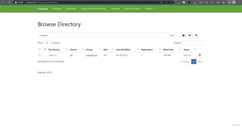 三、hdfs 的 Api 操作使用hdfs Api Csdn博客