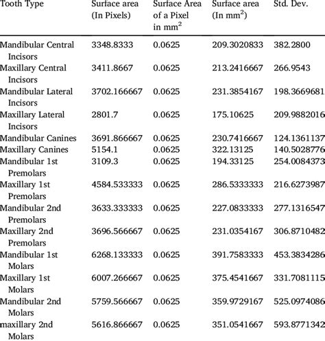 Average Tooth Root Surface Area For Each Tooth Type Download Scientific Diagram