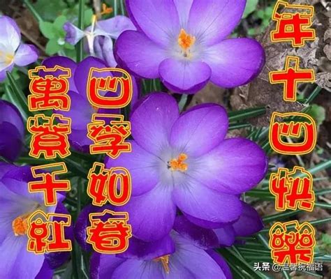 2月14日正月十四的早上好祝福语图片，祝大家四季平安天天好运2月14日 滚动读报 川北在线