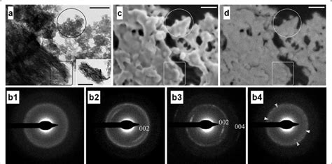 A Transmission Electron Microscope Tem Image Of Mineral Particle Download Scientific Diagram