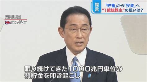 「1億総株主」って何？政府が勧めるnisa、idecoで貯蓄から投資へわかりやすい「お金のはなし」【ひるおび】 Tbs News Dig
