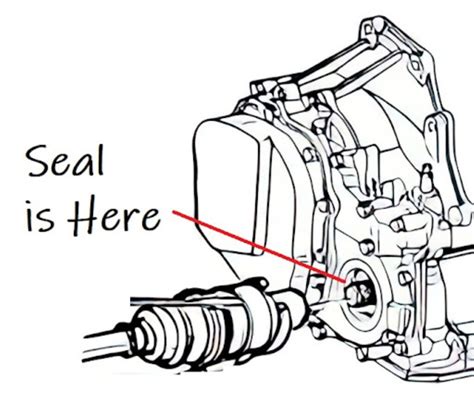 Transmission Front Seal Leak Symptoms At Kevinedelaney Blog