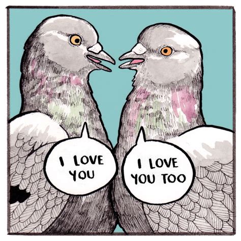 The Big Imageboard Tbib 1 1 2021 Avian Beak Bird Border Columbid