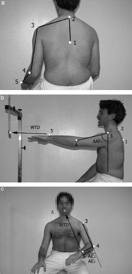 setup of the kinematic model 5 hemispherical retroreflective markers