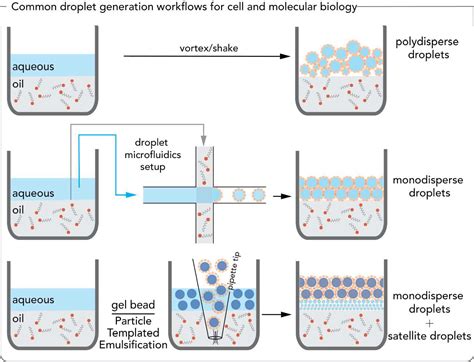 Simplifying High Throughput Biology Ran Biotech Beverly Ma 833 726 2661